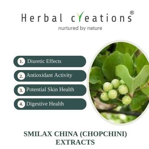 Premium Smilax china Extract Supplier | Unlock the Power of Natural Health
