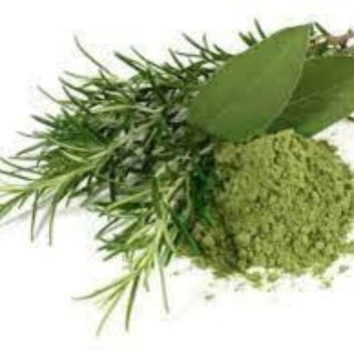 Organic Rosemary Powder Supplier UK
